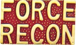 Force Recon Pin