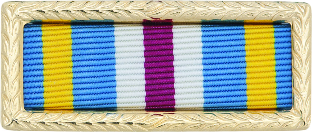 Joint Meritorious Unit Award