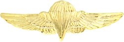 Marine Jump Wings Pin