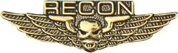 Marine Recon Wings Pin