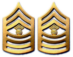 MGYSGT E-9 Master Gunnery Sergeant Brass Chevron (Pair)