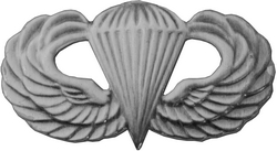 Paratroop Jump Wings Pin