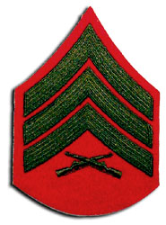 SGT E-5 Sergeant Embriodered Chevron (Pair)
