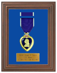 Military Medal display case