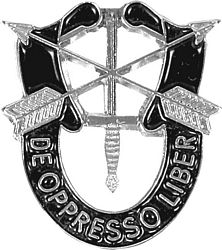Special Forces Crest Pin