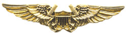U.S.Navy/USMC Flight Officer Badge