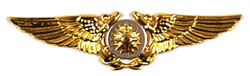 USMC Aerial Navigator Badge