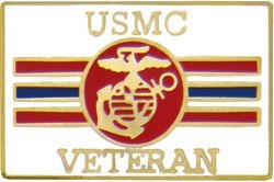 USMC Veteran Pin