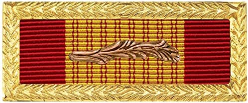 Vietnam Gallantry Cross Unit Citation