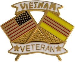 Vietnam Veteran Pin