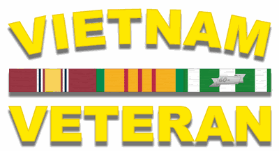 Vietnam Veteran with Service Ribbons Vinyl Window Decal