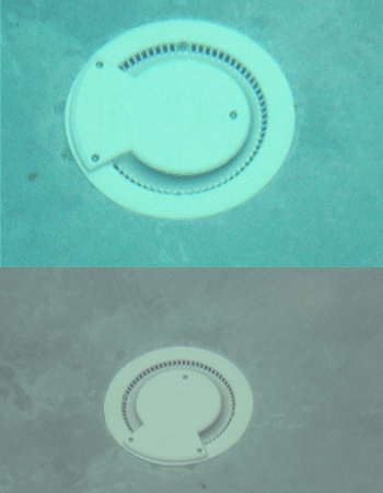 Paramount Pool Products MDX Safety Drain