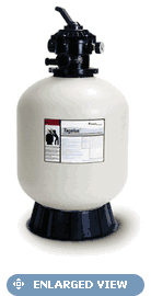Pentair Tagelus Top Mount Filter TA100D # 145240