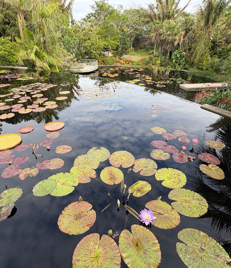 A Visit to Naples Botanical Garden - HenFeathers