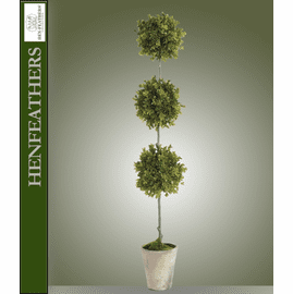Topiaries / Permanent Botanicals / Bonsai Collection - HenFeathers