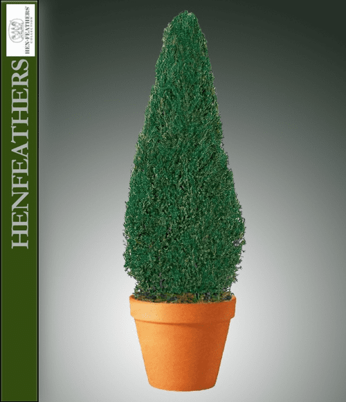 Juniper Cone Preserved Topiary - HenFeathers