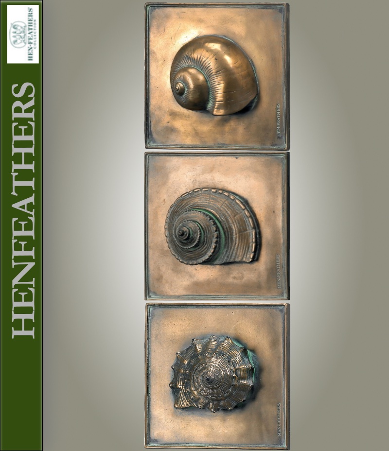 Nautical Shell Study Plaques Set of 3 - HenFeathers