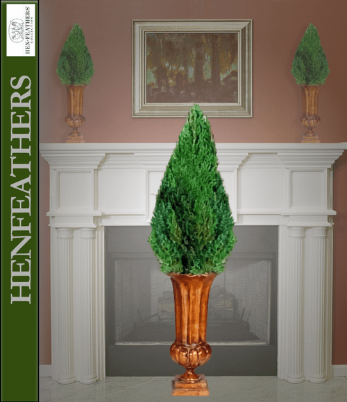 Real Preserved Mantle Top Cone Topiary - HenFeathers