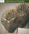 Scallop Shells Clock and Thermometer Set - HenFeathers