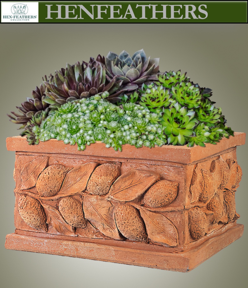 Square Lemon Box Planter - Garden Decor - HenFeathers