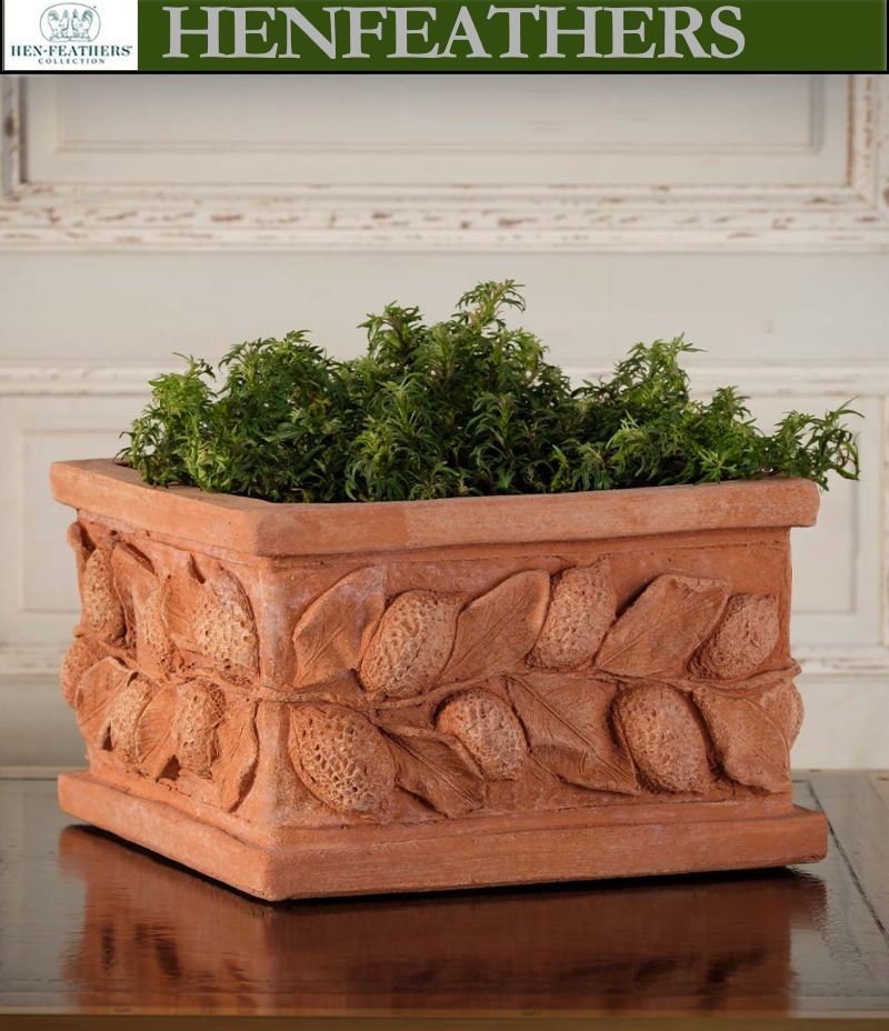 Square Lemon Box Planter - Garden Decor - HenFeathers