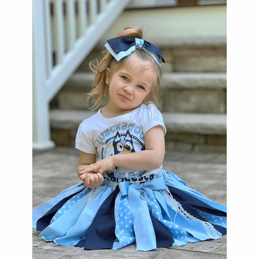 Bluey Custom Birthday Tutu Outfit
