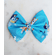 Bluey Custom Birthday Tutu Outfit