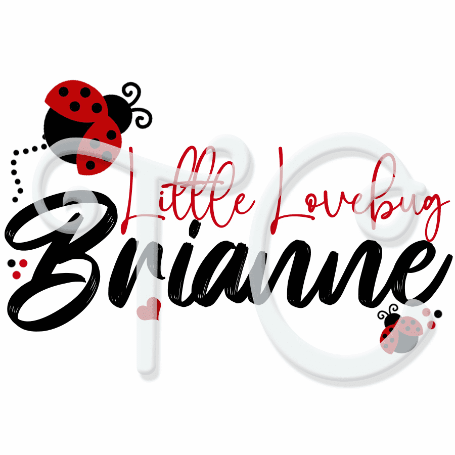 Ladybug Custom Outfit