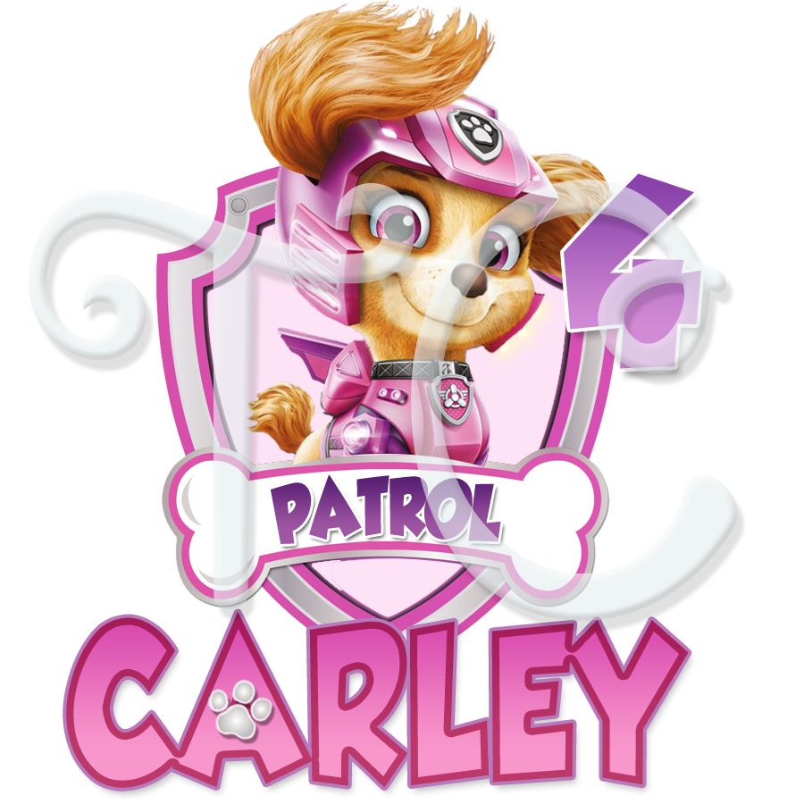 Paw Patrol Custom Denim Birthday Outfit