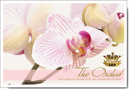 Top Ladies of Distinction (TLOD)