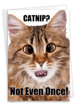 Catnip Not Even Once: Funny Birthday Card - Cat