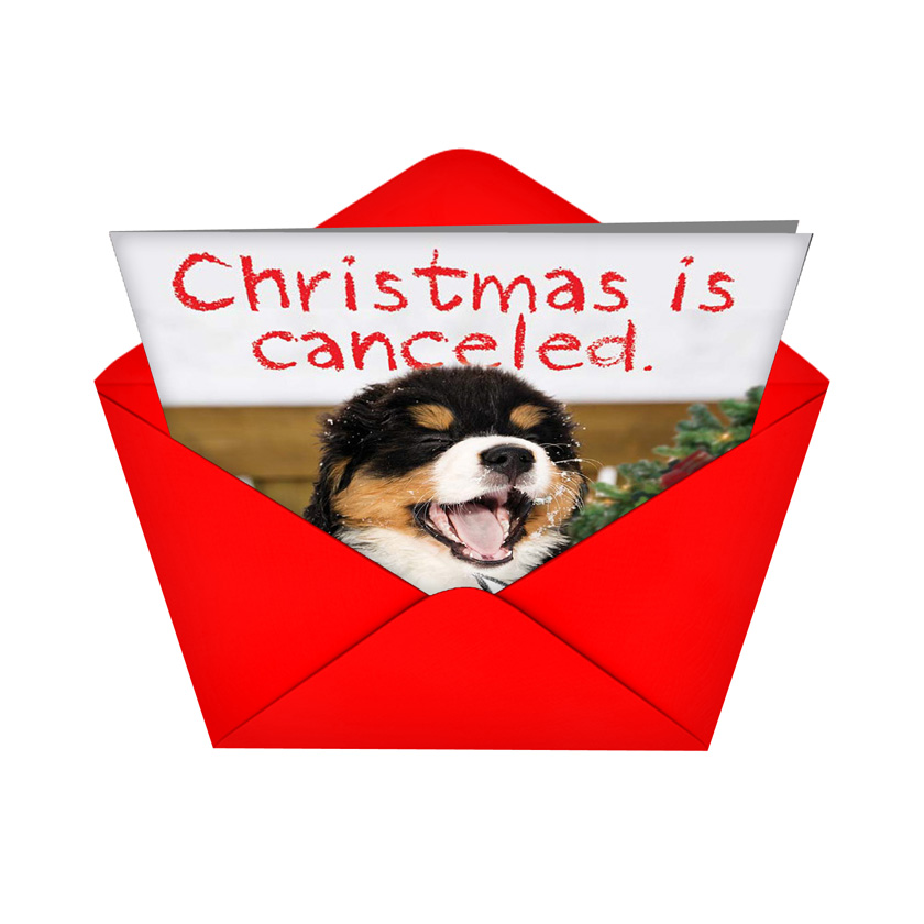 Christmas Is Canceled Petigreet Funny Paper Card