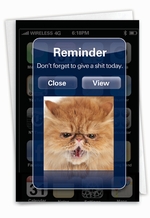 Do Not Forget To Smile: Humor Birthday Greeting Card - Cat