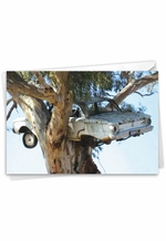 Drive Me Up A Tree: Funny Blank Greeting Card