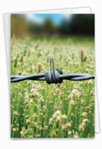 Flipping Barbed Wire: Funny All Occasions Greeting Card