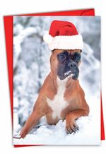Holiday Best Boxers: Funny Merry Christmas Greeting Card - Dog