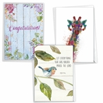 Kudos To You: Stylish Congratulations Variety Pack of 3 Cards - Bird ...