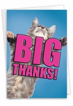 Cat Big Thanks: Artistic Birthday Thank You Greeting Card