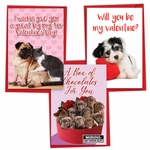 Lucky Dogs: Humor Valentine's Day Variety Pack of 3 Cards
