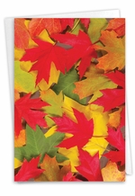Leaf a Message - Maple: Beautiful All Occasions Blank Greeting Card