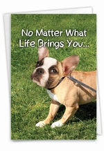 Kick Some Grass: Funny Friendship Greeting Card