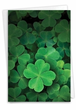 Lucky Clovers: Stylish St. Patrick's Day Card