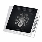 Octo-Facts Hearts: Stylish Birthday Jumbo Square-Top Greeting Card ...
