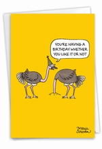 Ostrich Party: Humor Birthday Card