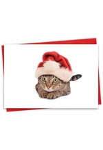 Santa Cats: Creative Christmas Card