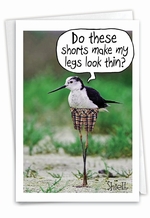 Bird Legs Memes Bird Legs Cartoons And Comics Funny Pictures From