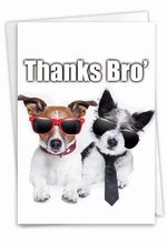 Thanks Bro': Funny Thank You Greeting Card - Dog