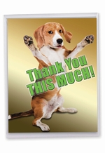 This Much Dog: Funny Thank You Jumbo Greeting Card