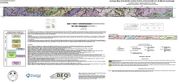 Geologic Map of the North Carolina Portion of the DANVILLE 30 x 60 ...