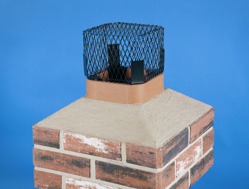 Black Steel Bird and Squirrel Screen for 8 x 12 or 9 x 13 Outside Tile ...